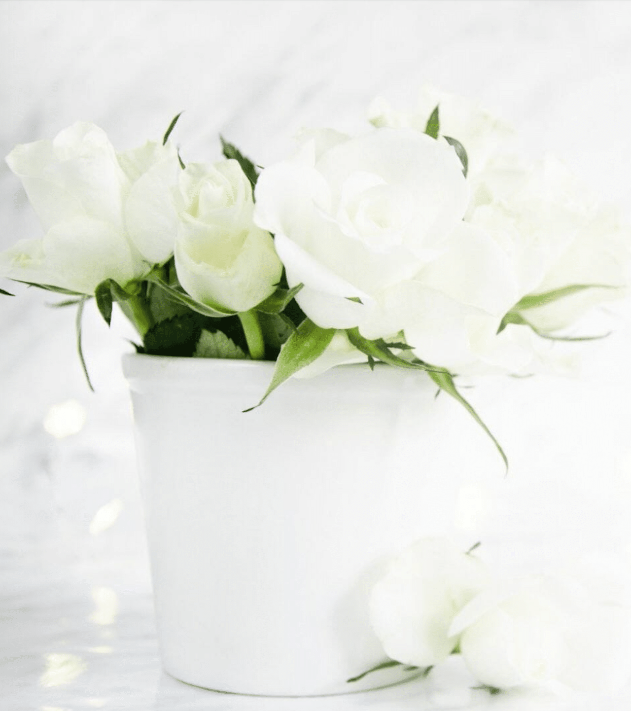 Funeral Directors Birmingham | Undertakers Birmingham | A.B. Taylor